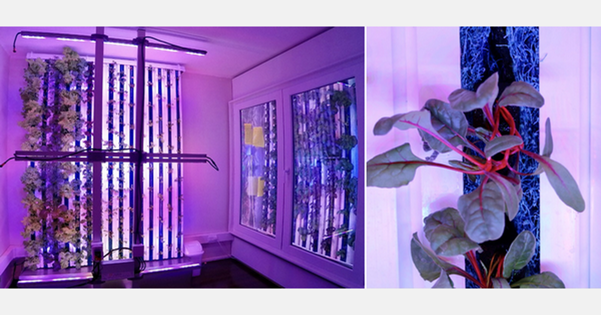 Chile: New modular farms with two separate growing areas