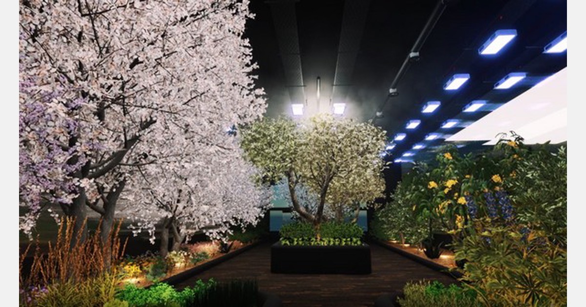 Martian lava provides fertile soil for futuristic space farm