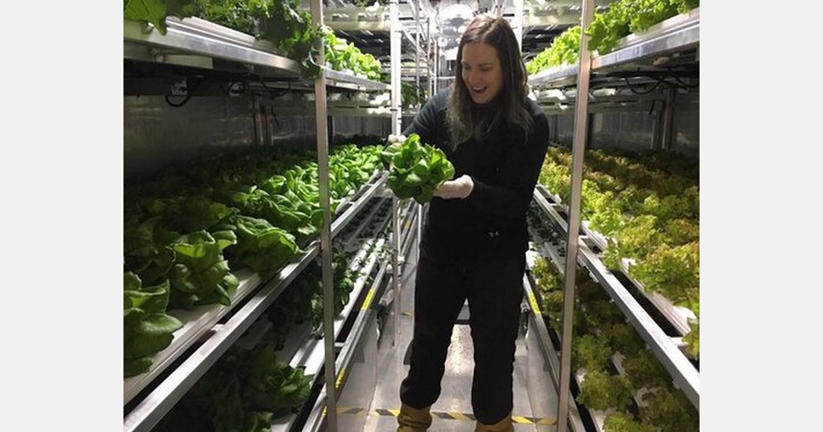 The value of hyperlocal produce