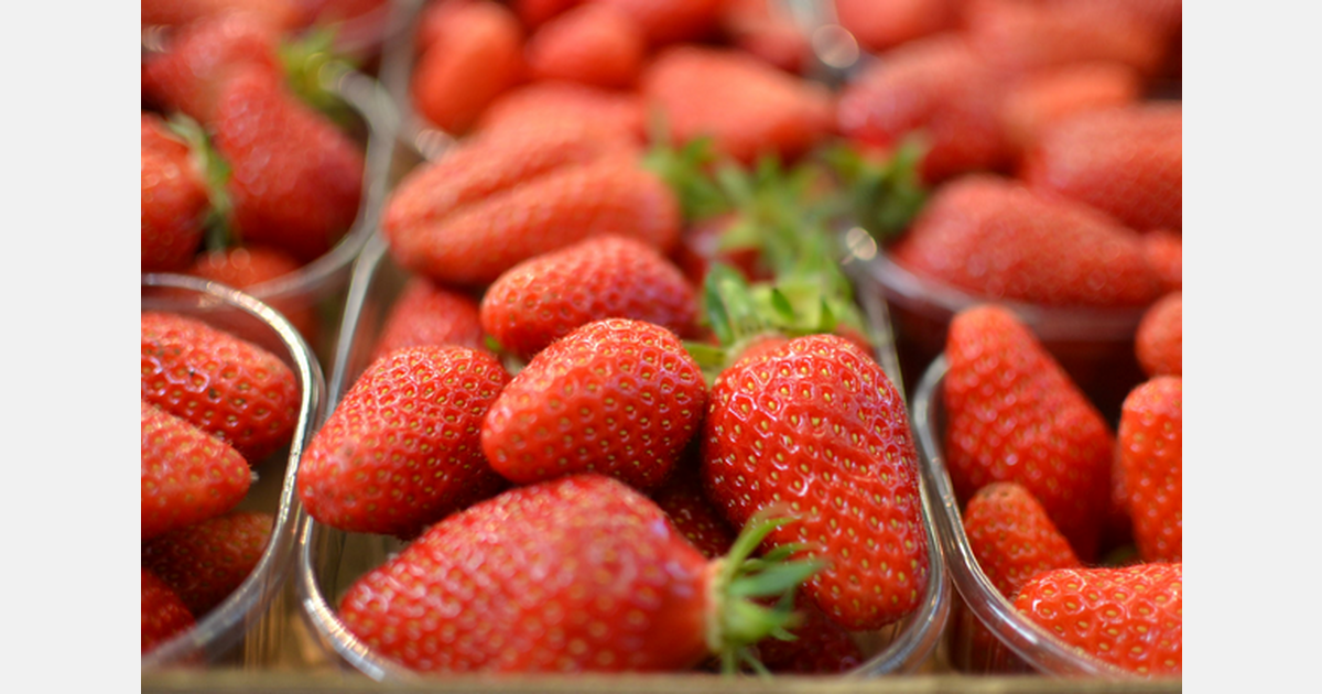 "Strawberries are a pain point for consumers"