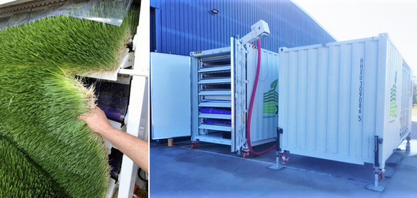 Bringing commercial vertical farming systems to Australia and beyond