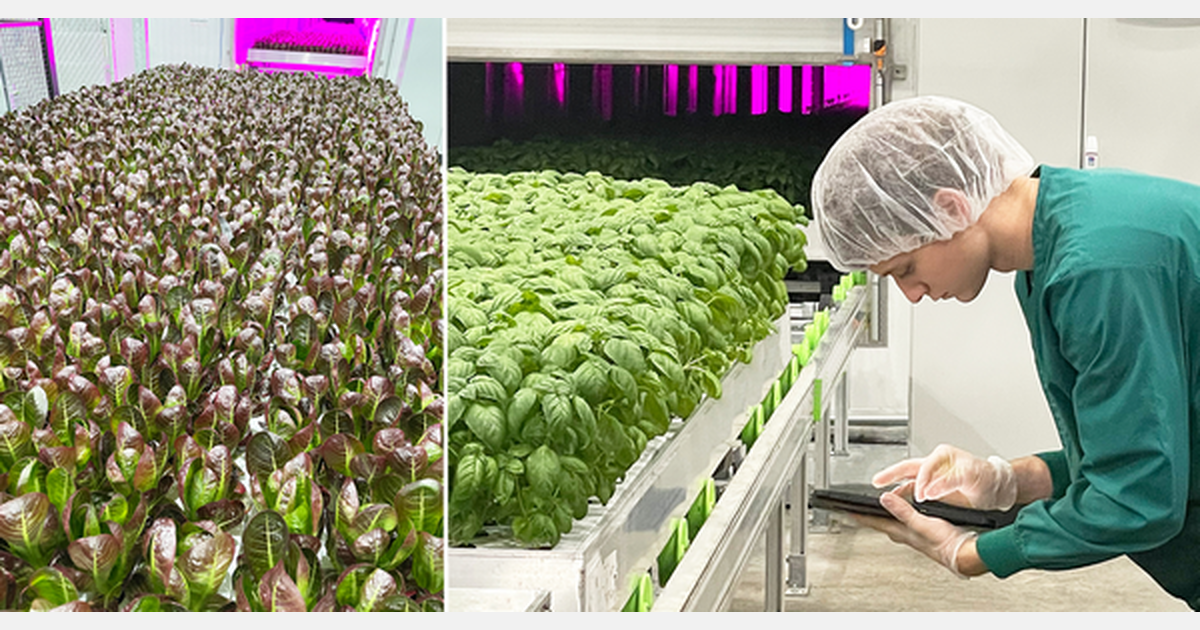 80 Acres Farms announces grab-and-go meals