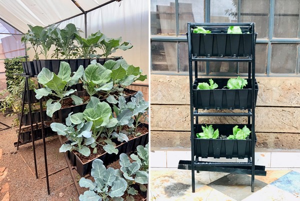 Providing low-cost, easy-to-manage vertical farming solutions to Kenyan ...