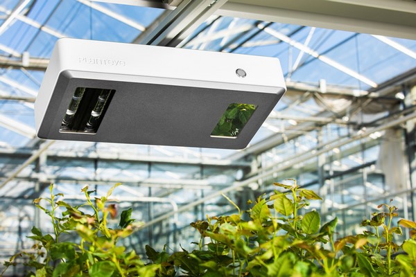 New plant sensor developed for indoor farms