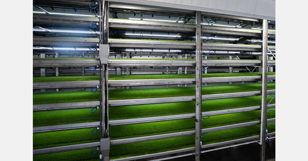 Acquiring growing modules worth CAD $1,5mln and announcement of new ...