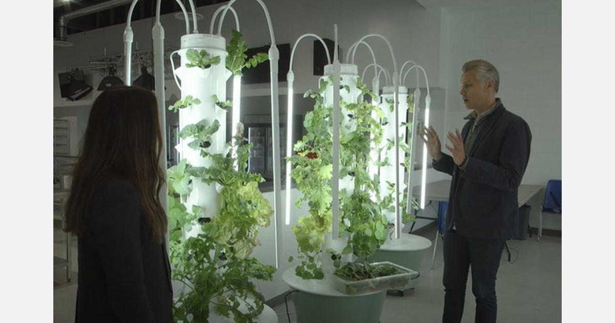 UK: Establishing the Cavendish Community Food Hub