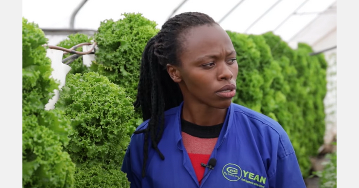 Rwanda: Youth urged to invest in a hydroponic farming system to ...