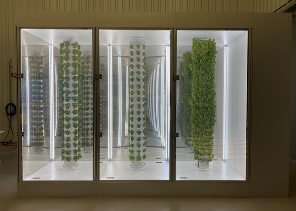 More sustainable and cheaper vertical farming by combining textiles and ...