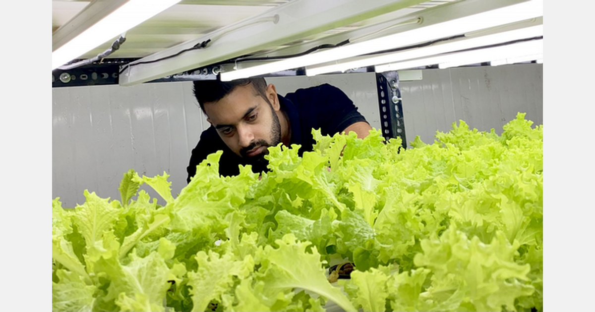 India: Transforming lives with clean cultivation