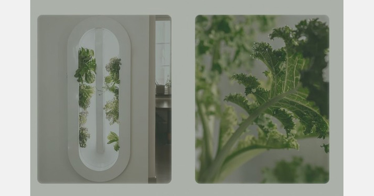 Fancy 'wall window' allows consumers to grow food
