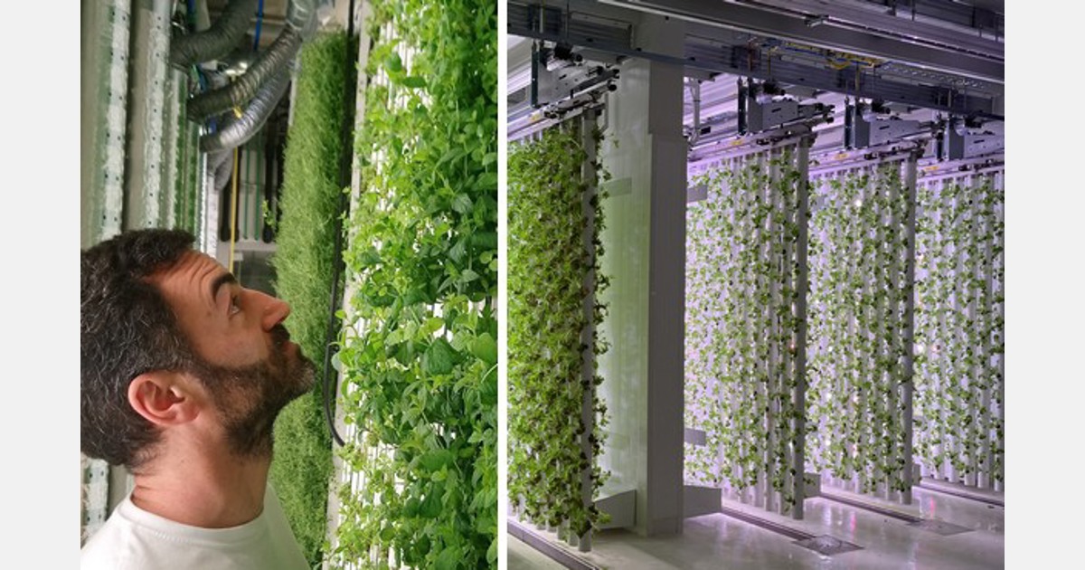 The past, present and future potential of vertical farming