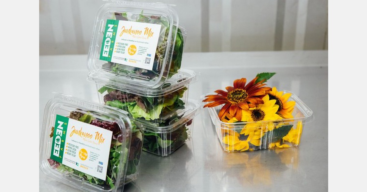 8 different types of produce packaging to sell fresh produce in