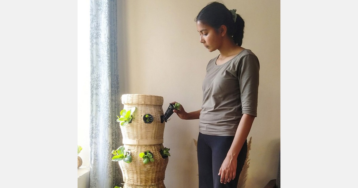 Easy and sustainable hydroponics with bamboo system