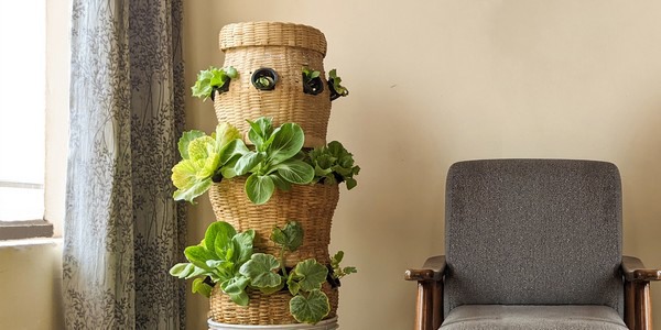 Easy and sustainable hydroponics with bamboo system