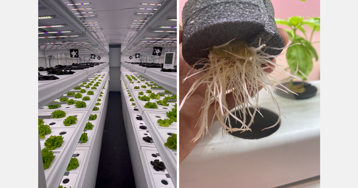 Turning 1l into 200m3 of mist making vertical farming even more sustainable