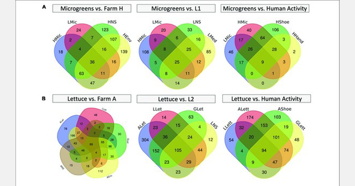 Microbial community analysis and food safety practice for aquaponic and ...