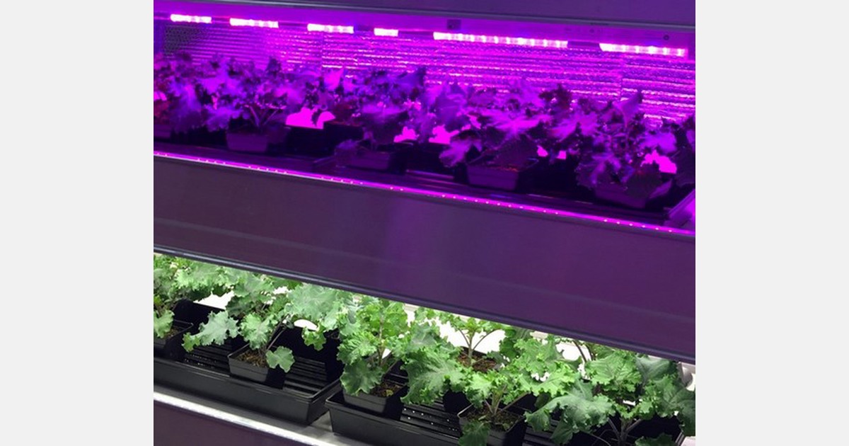 Assistance for urban agriculture producers event in Dallas