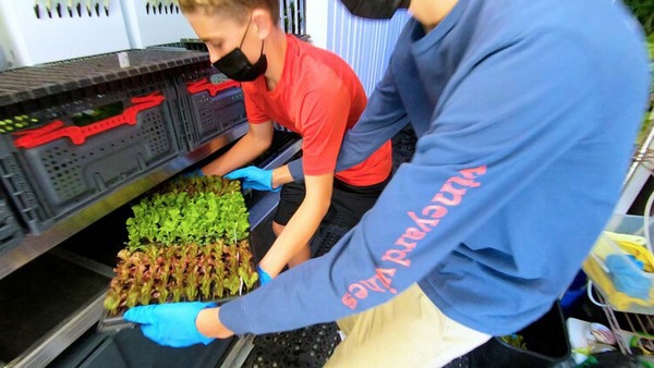 Pioneering vertical farming at high school