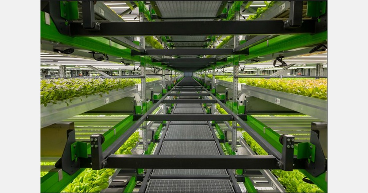 Bowery Farming and Unfold partner to create locally produced veggies