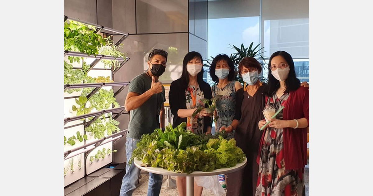 Grobrix installs farming walls at Shell Singapore headquarters