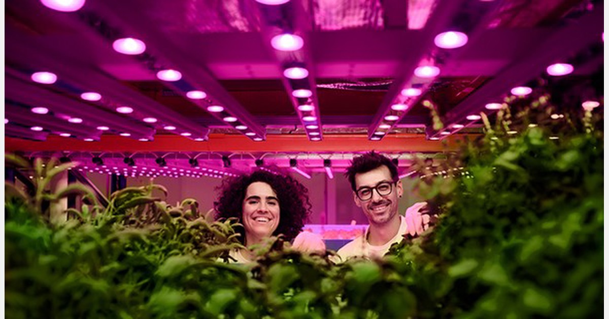 WUR organizes a 4-week course on vertical farming