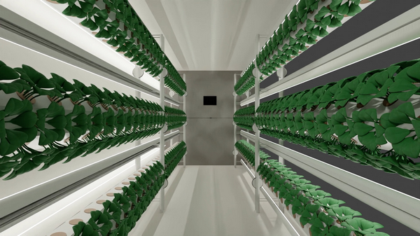 Rotational aeroponic system under development, with potential to ...