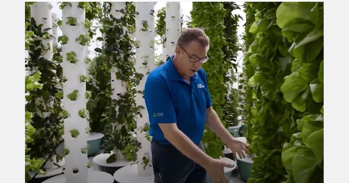 The ins and outs of growing vertical