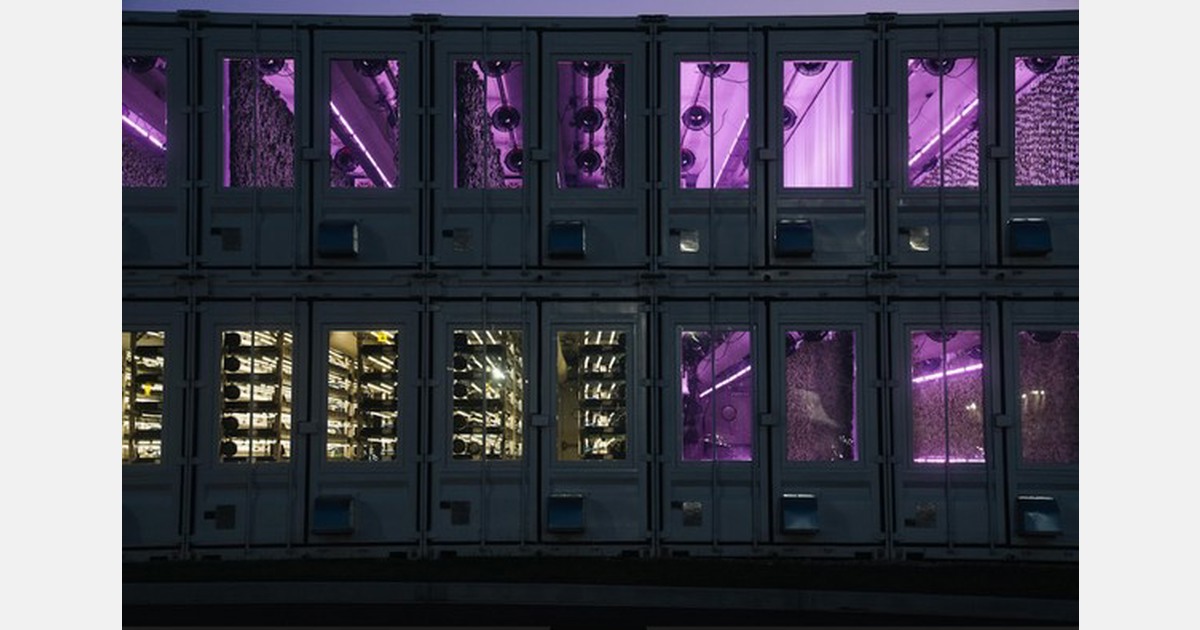 Square Roots expands distribution with Meijer in Midwest