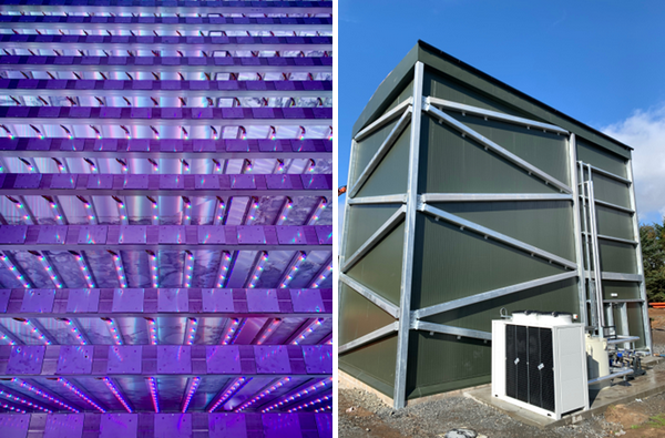 Scotland: Proving the potential of vertical farming by introducing ...