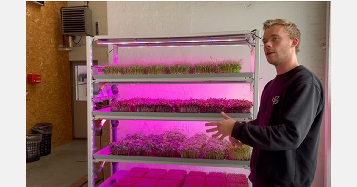 The best vertical farm setup for your home