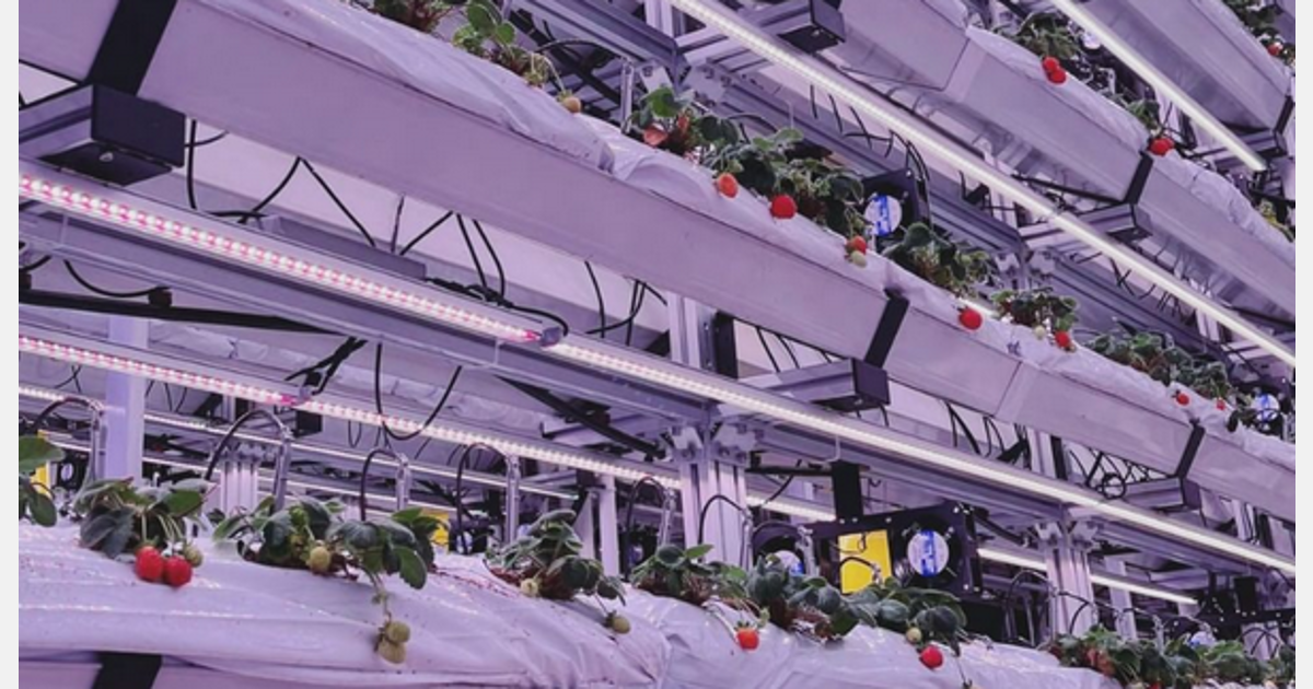 Singrow expands farm footprint in Asia and the Middle East