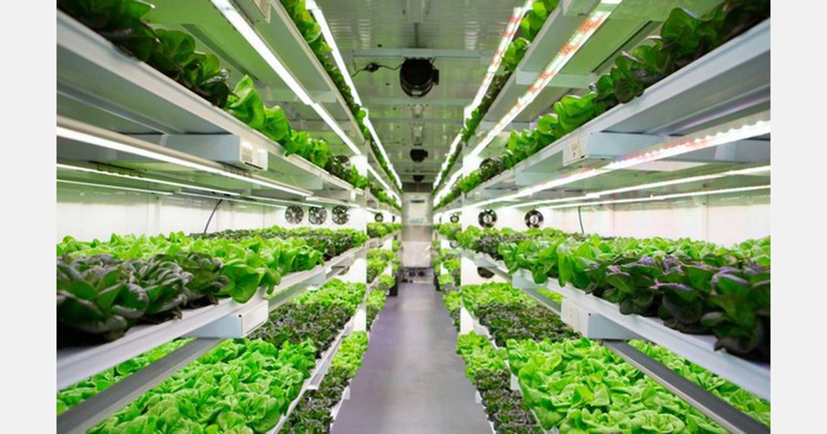 "Why controlled environment agriculture is mission critical"