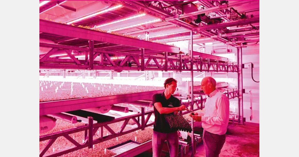 Breakthrough within vertical farming: growing 30 different crops in a 4 ...