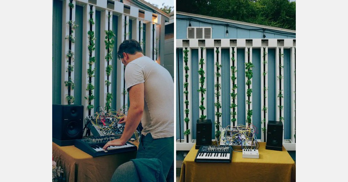 Bio-composing: making music with living walls