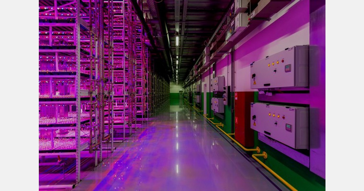 The role of technology in vertical farms