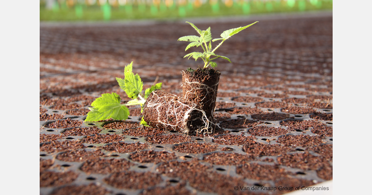 Coco substrate: a sustainable choice