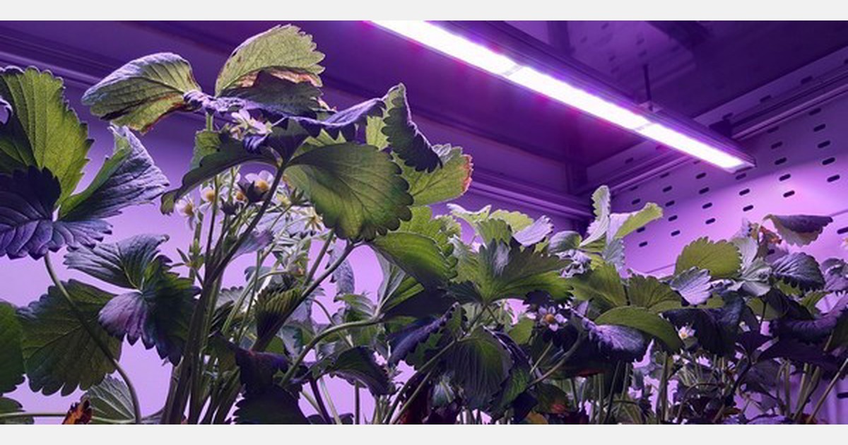 Crocus Labs closes seven-figure investment to build energy-efficient ...