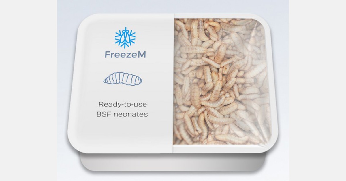 FreezeM raises €6.3M in EIC funding to accelerate technological ...