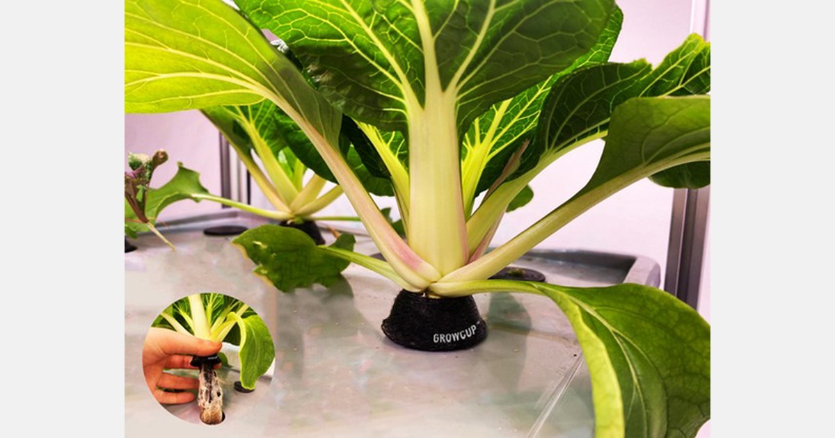 GyroPlant aims to make vertical farming waste-free