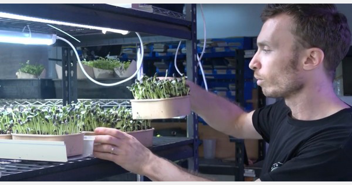 Australia: Inside Sydney's vertical farm based in a carpark