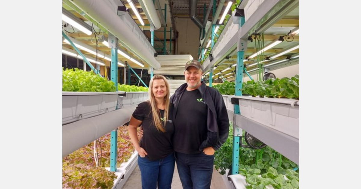 CAN (AB): The couple behind Vertical Roots' site in Edmonton