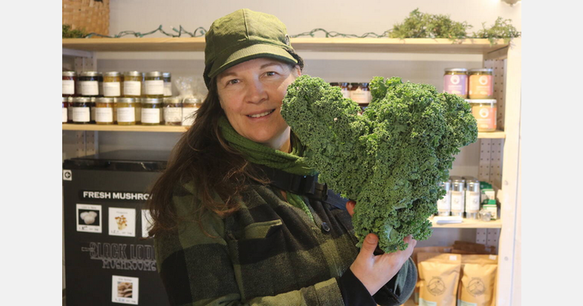 CAN (BC): Recently added container farm to supply leafy greens to Fernie