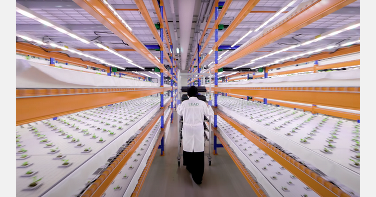 How Bustanica collaborated with Philips LED creating a unique light recipe