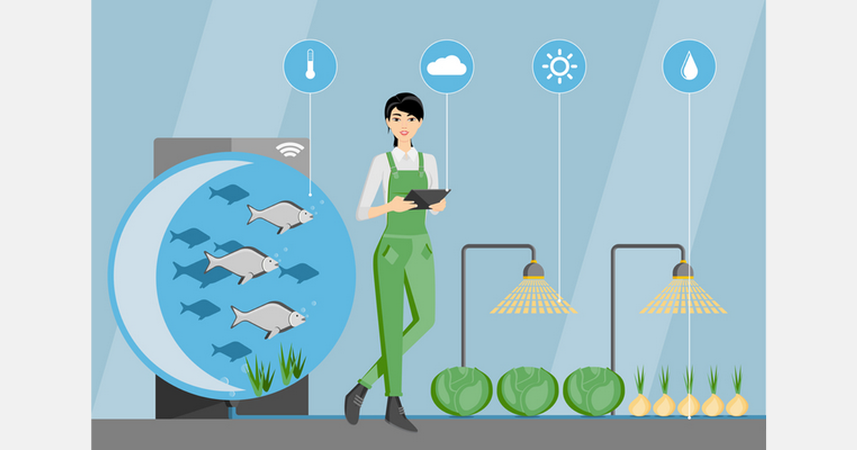 Pakistan: Aquaponic farm management system introduced