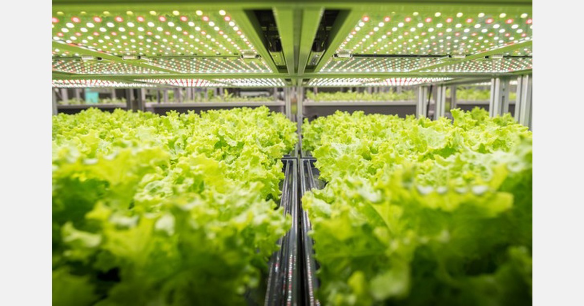Wisconsin agriscience teacher feeding students and training advanced ...