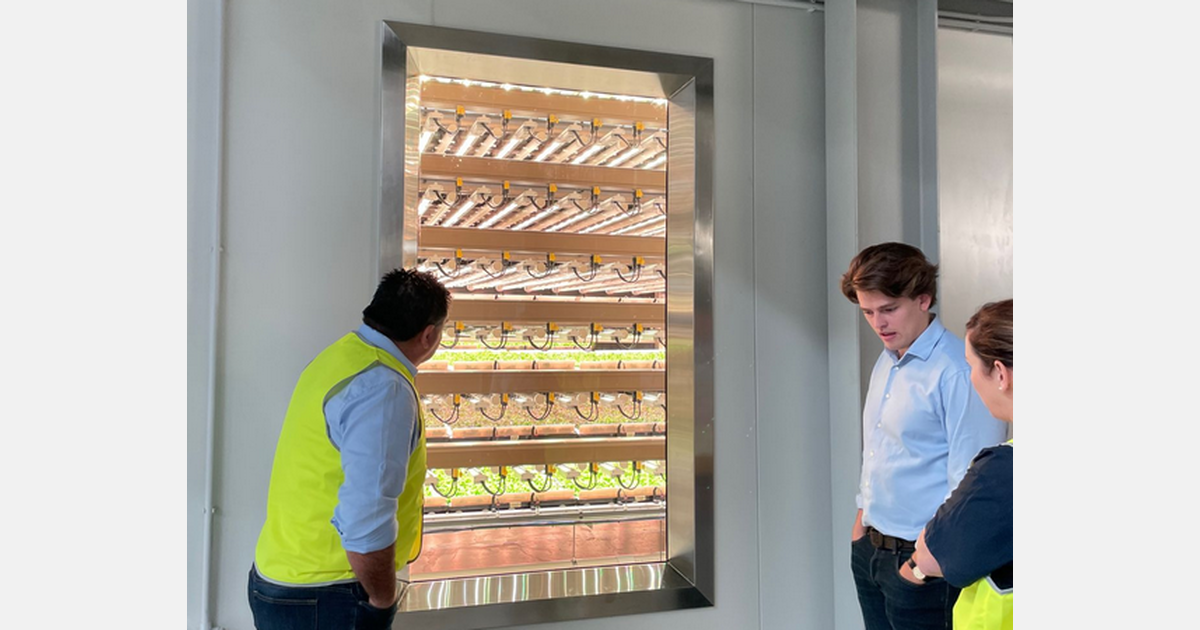 NZ: Visit to Greengrower