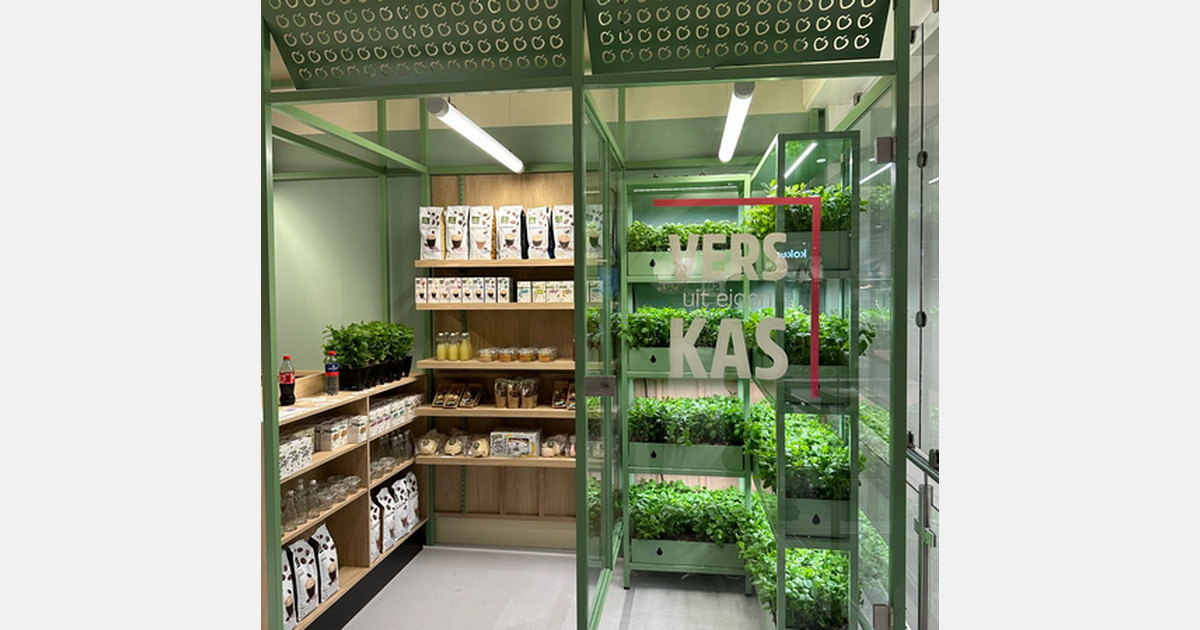 Vitacress Real installation showcased at Dutch restaurant chain