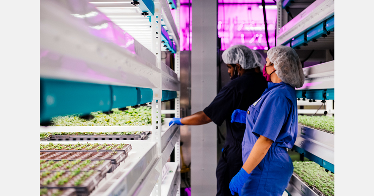 Additive, not extractive: how vertical farming fits into the future of ...
