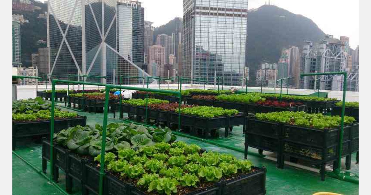 Farms in cities: Smart ideas for planners