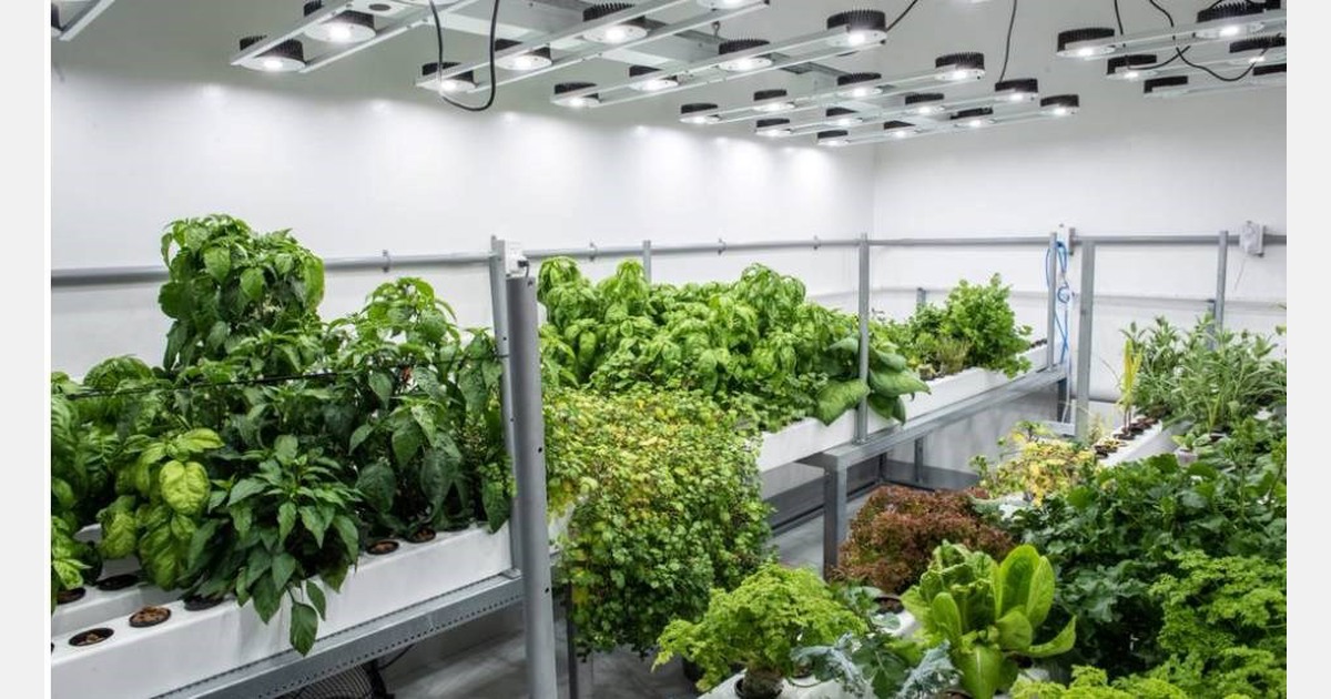 CAN: Grow pods could help feed north's Indigenous, rural communities